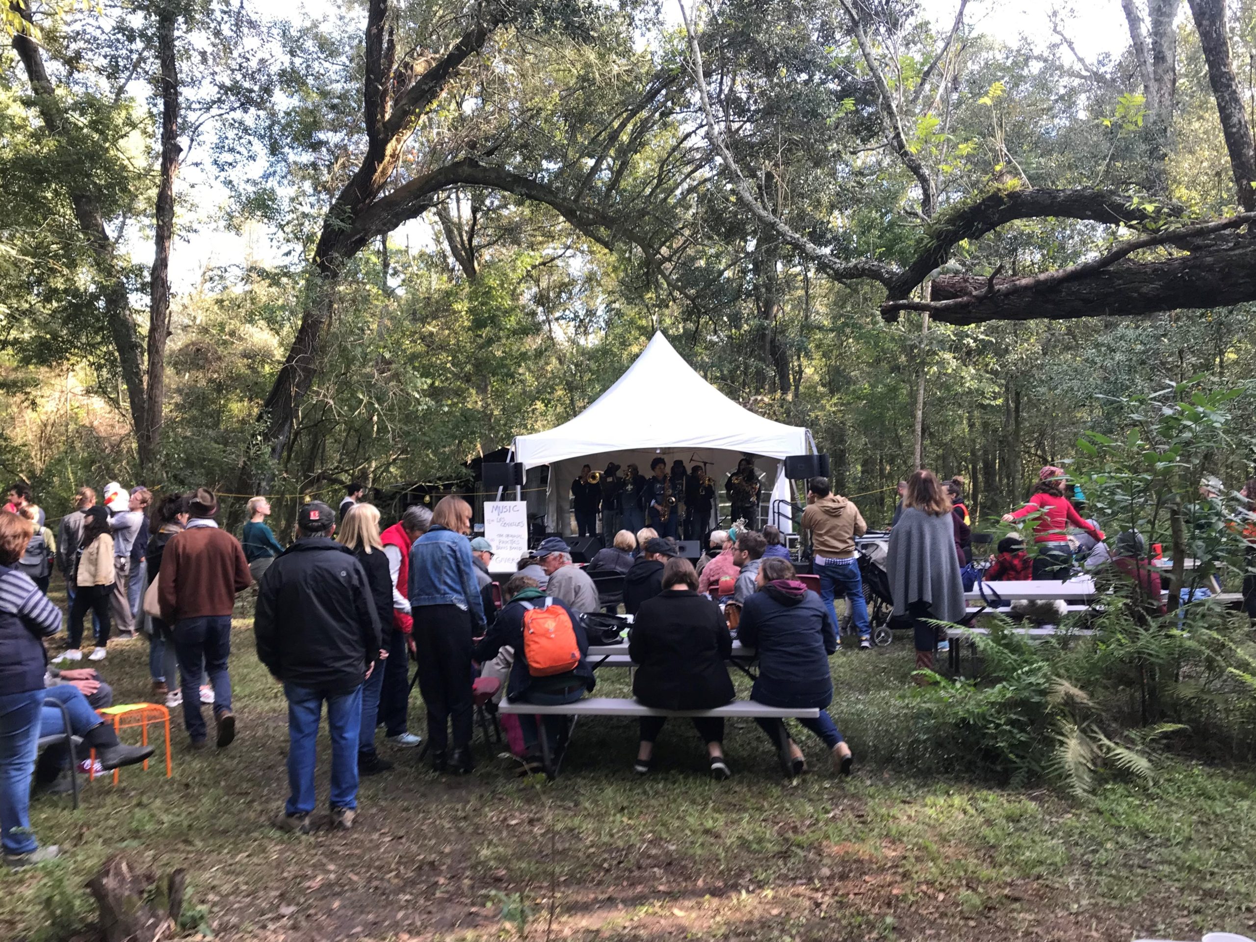 FORESTival 2019 Internship - A Studio in the Woods