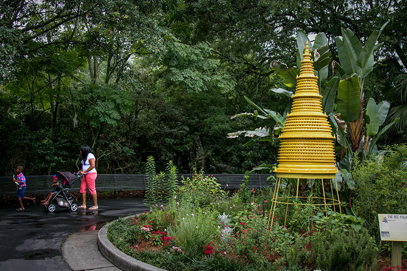 Special ceremonies for Esther Solondz and her daughter, Ana Stolle - A ...