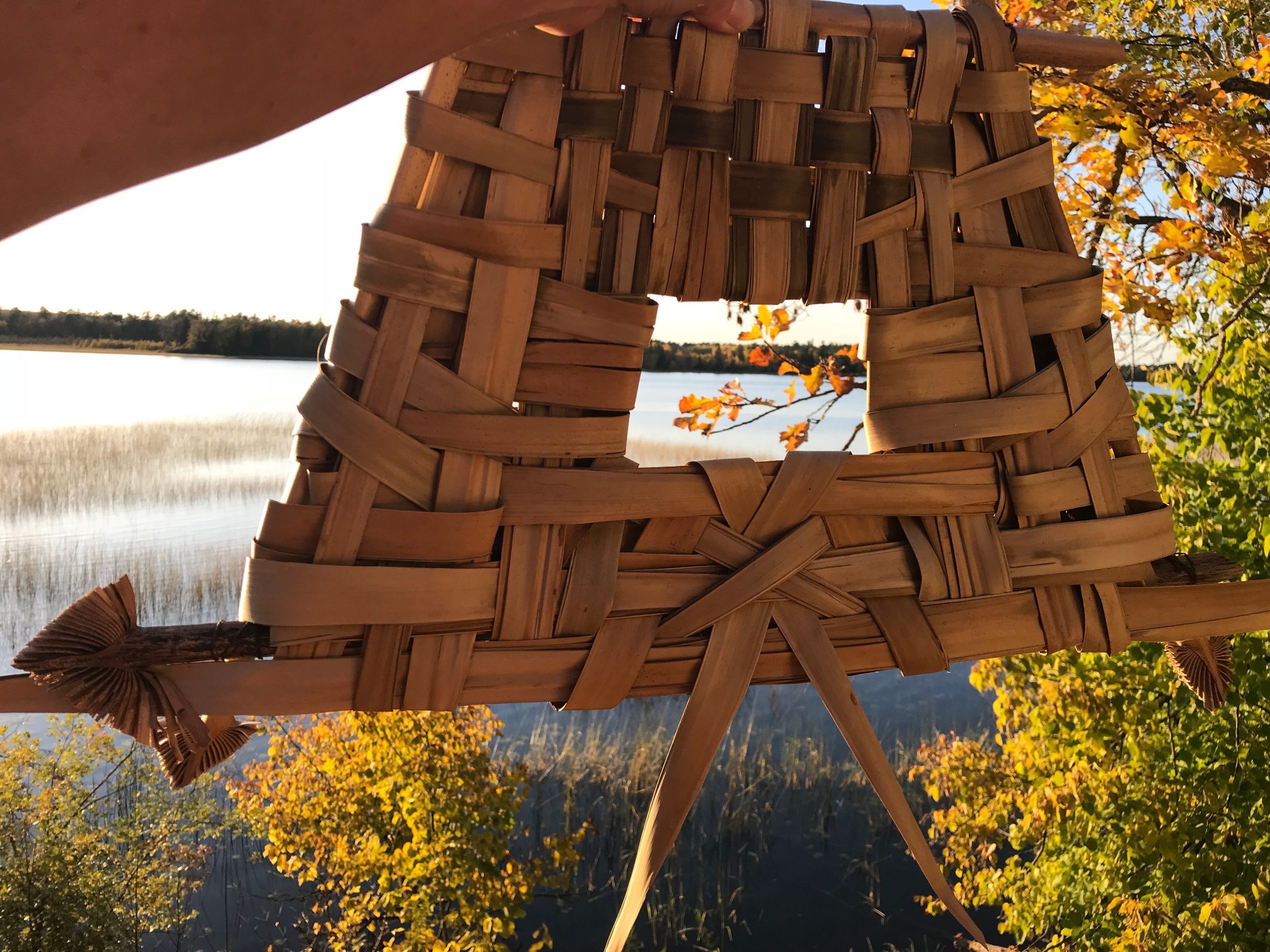 Palms to Pines: What a River Weaves by Monique Verdin - A Studio in the ...